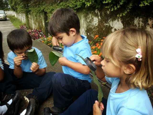 La Ciencia en Educación Infantil: LA INTRODUCCIÓN DE LA LUPA EN EL AULA ...