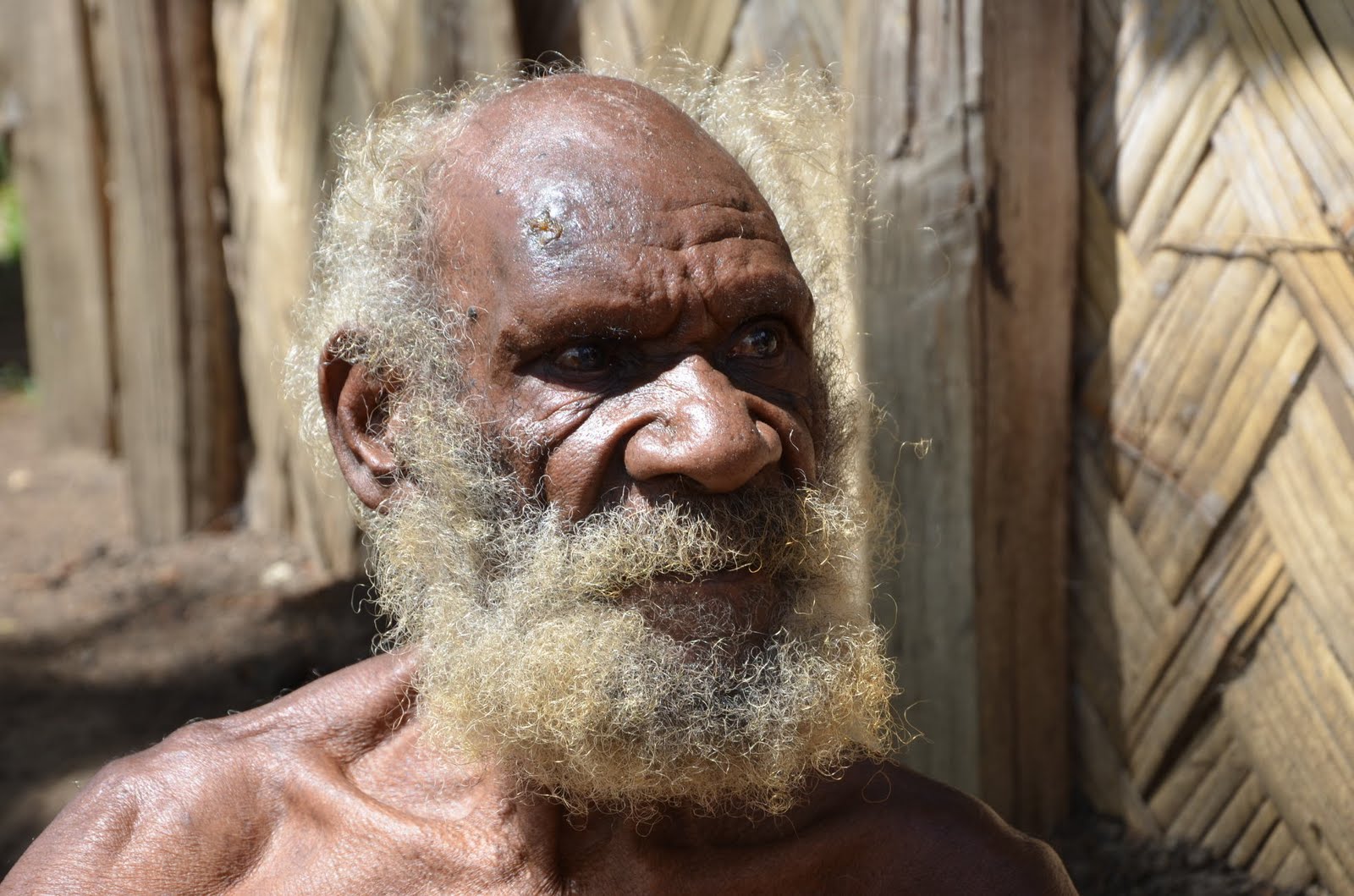 samtingbilongmi: AGARABI - The Golden Jubilee!