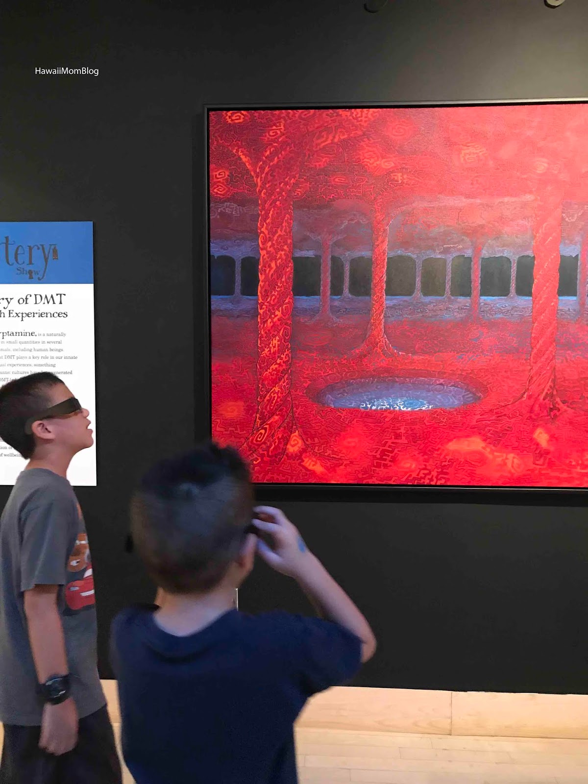 Hawaii Mom Blog: Visit Baltimore: American Visionary Art Museum