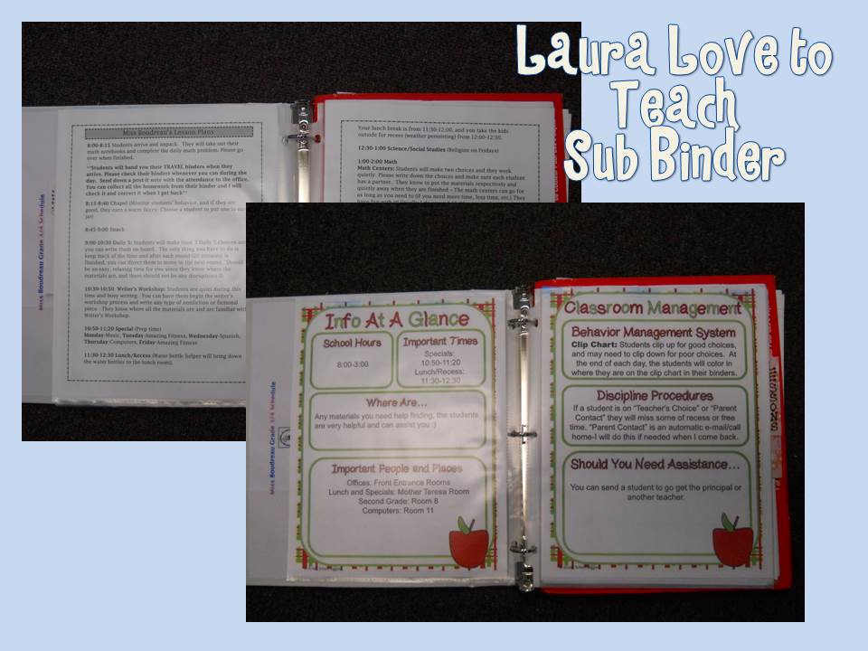 Love to Teach :): Substitute Binders, Stella and Dot