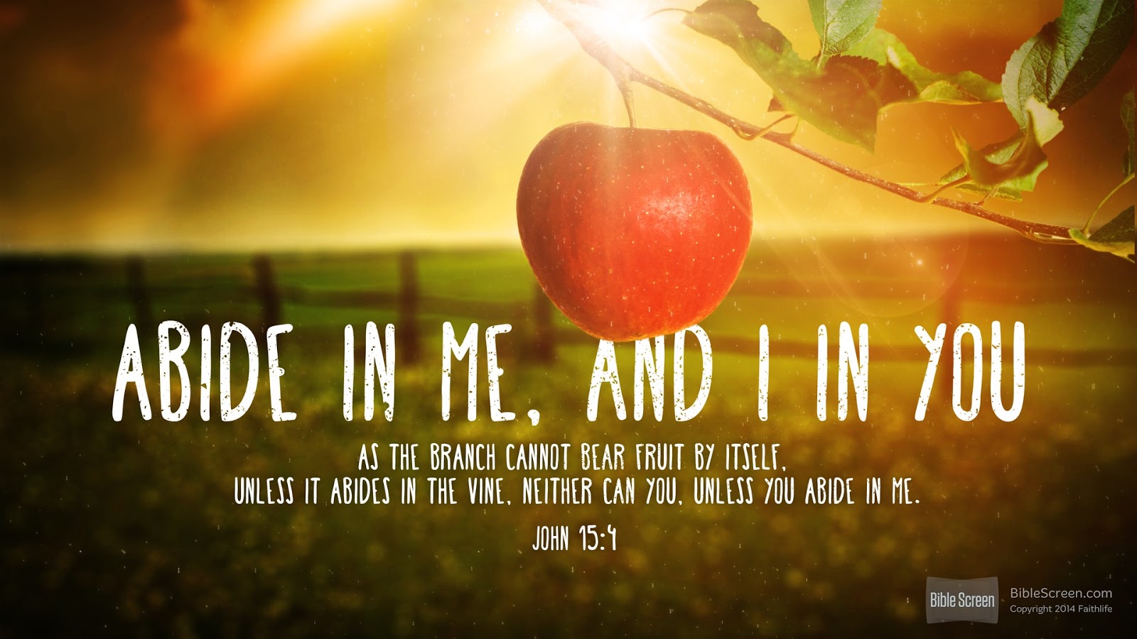  Transformed By The Renewing Of Our Minds Romans 12 2 John 6 52 59