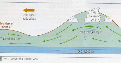 Weather and Climate: Caribbean Weather Systems