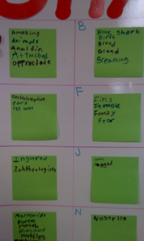 Alpha Boxes-They're Not Just For Kinders! - Conversations in Literacy