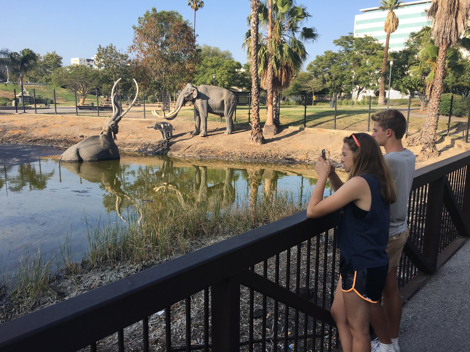 Experiencing Los Angeles: Miracle Mile: La Brea Tar Pits, Urban Light ...