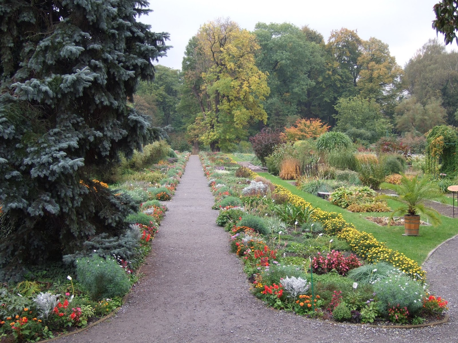Elins reiseblogg: Botanisk hage i Krakow, Ogród Botaniczny Uniwersytetu ...