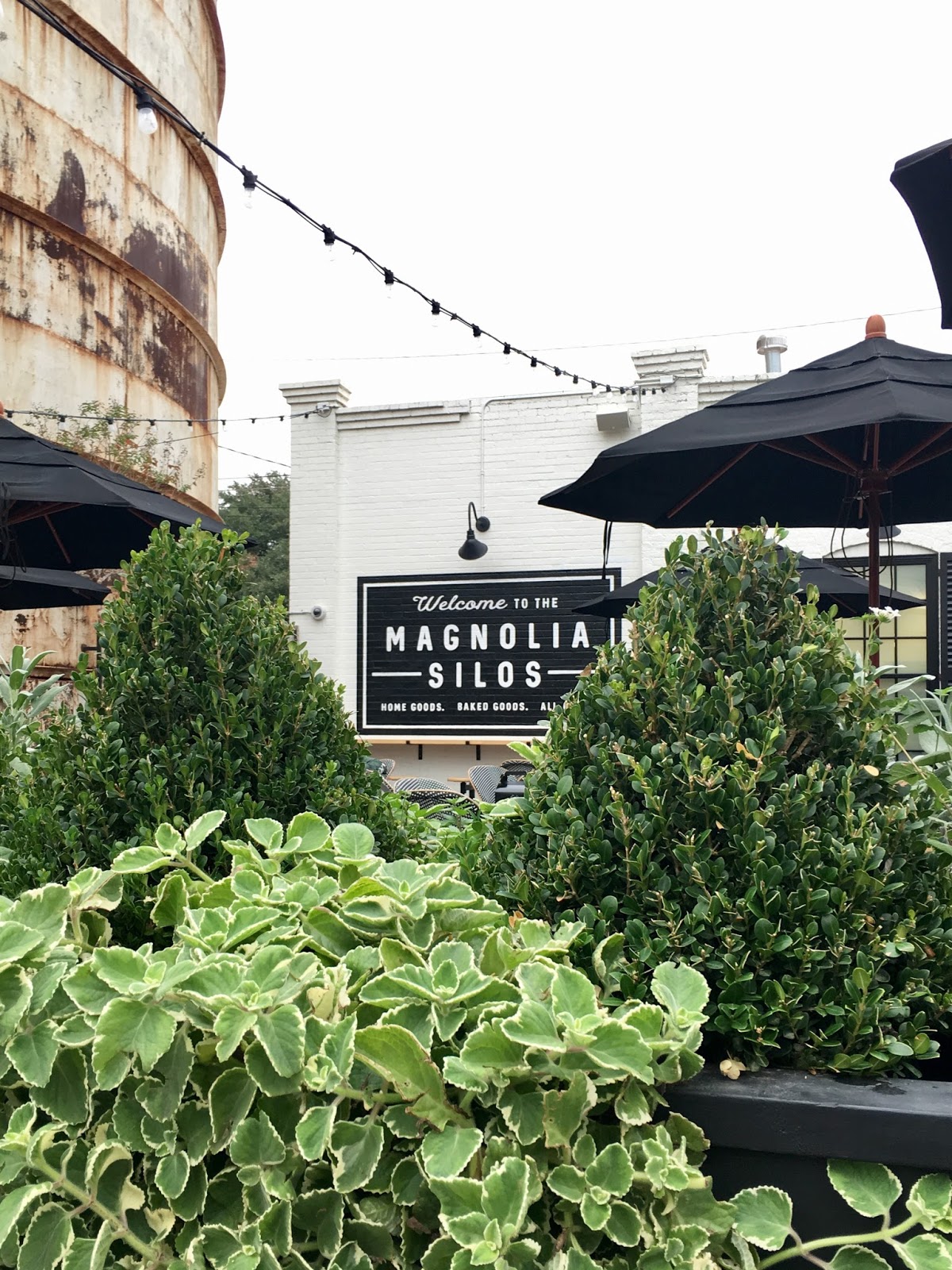 Misc Magenta: Girls Trip to the Magnolia Silos