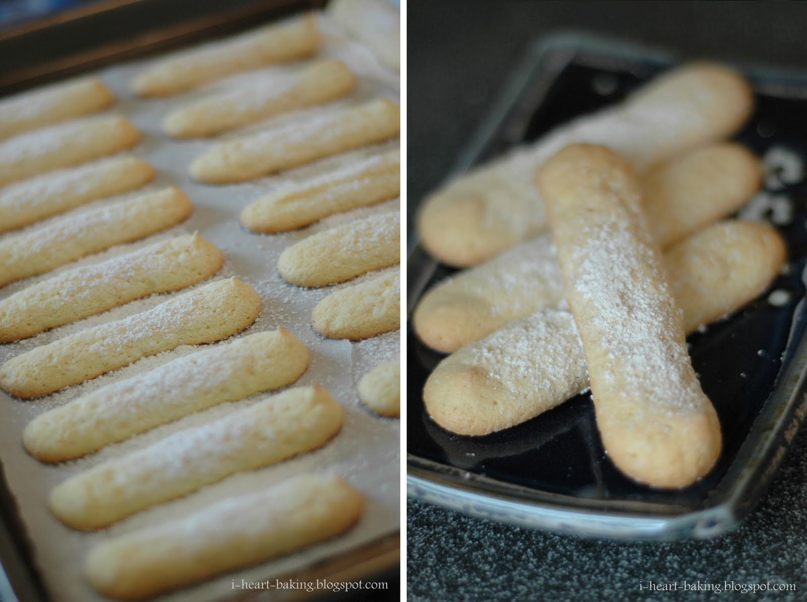 i heart baking!: coffee chiffon charlotte with homemade lady fingers