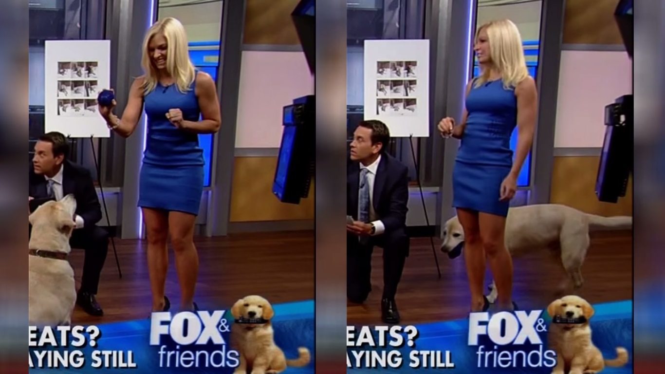 Reporter101 Blogspot: 3rd Week of July: Fox and Friends and The Real ...