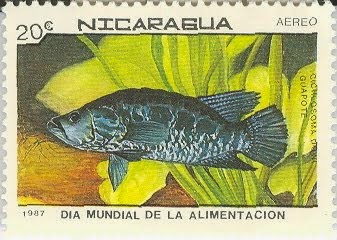 PESCA DE GUAPOTE Y OTROS PECES: PESCA DEL GUAPOTE