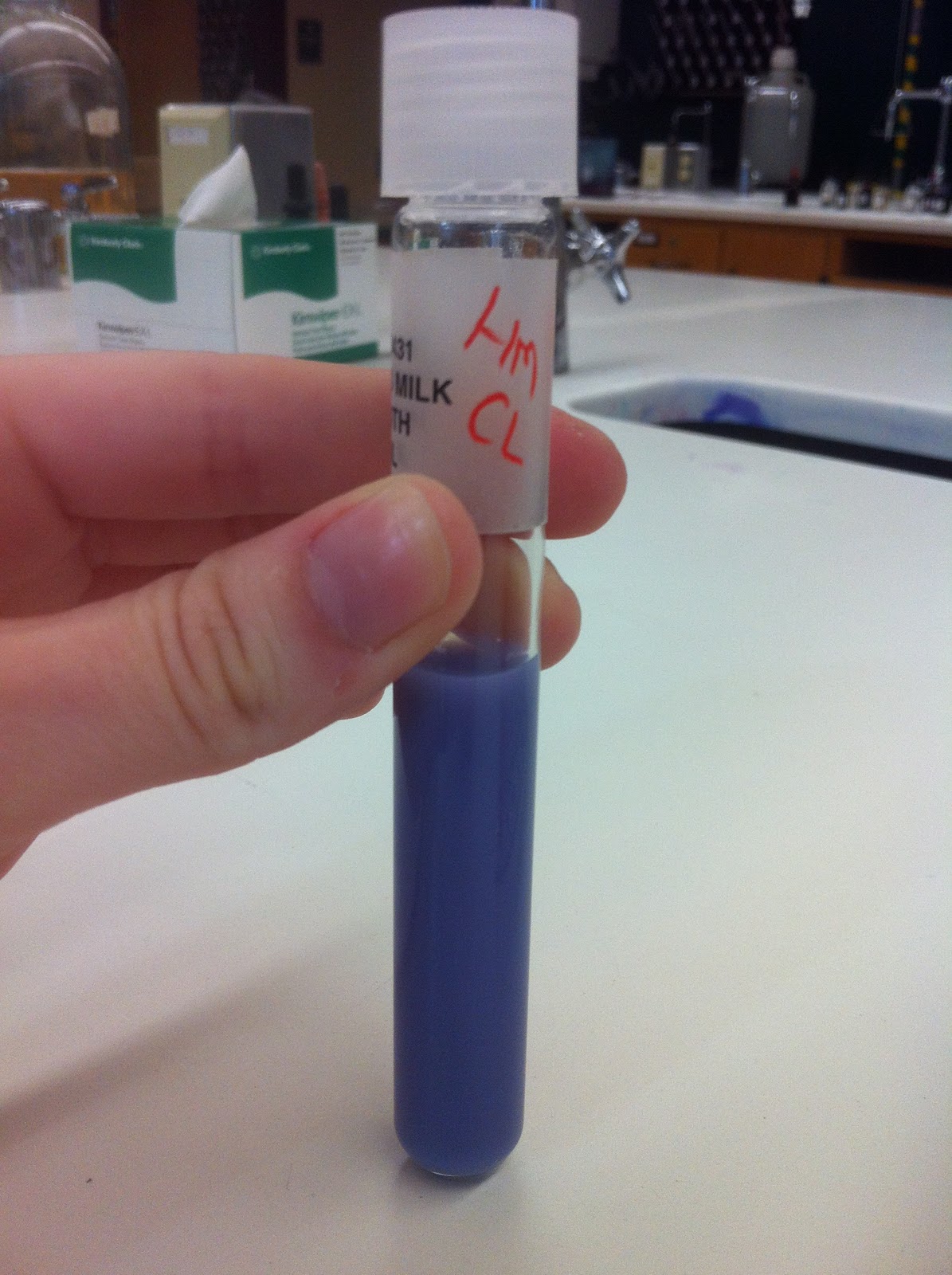 Courtney and Hannahs Bacterial Escapades at Franciscan University of ...