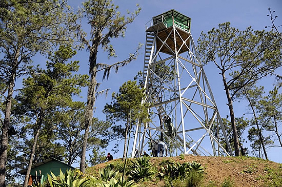 Verde Zona: Detección y vigilancia de incendios forestales