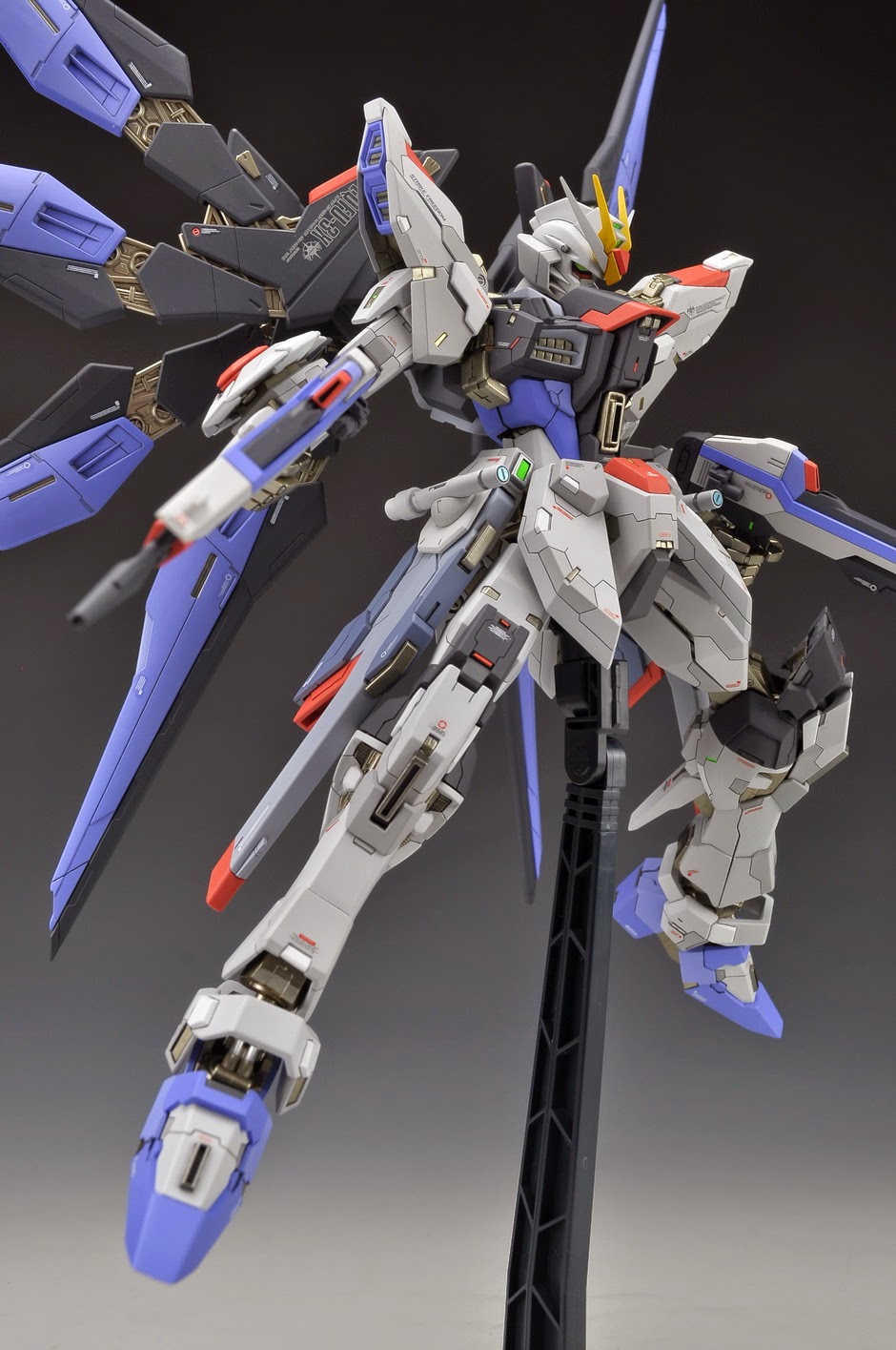 Custom Build: MSB 1/100 Strike Freedom Gundam