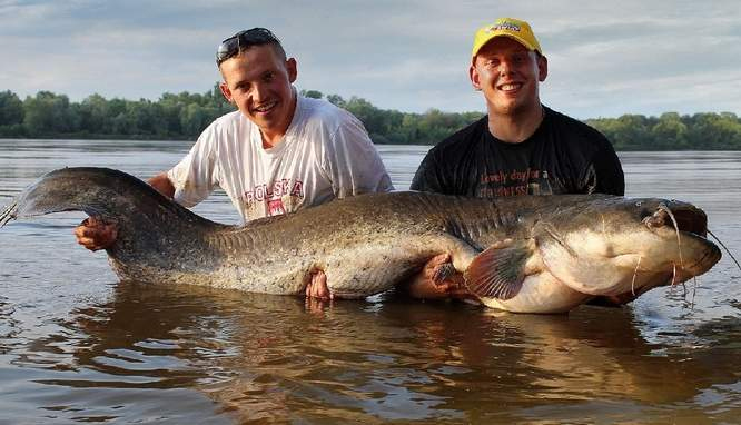 NASZ SUCHEDNIÓW: To jest sum!