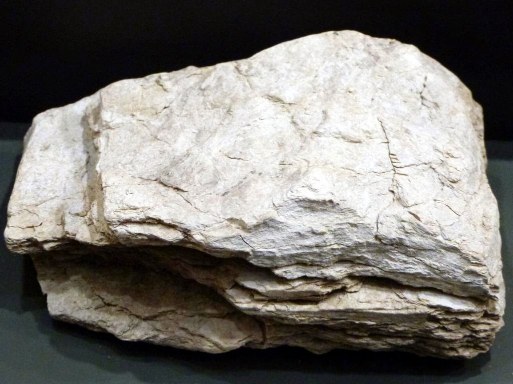 Geología visu: Rocas Sedimentarias