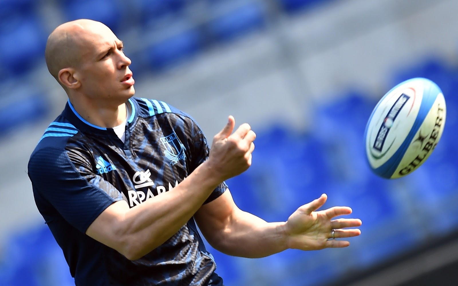 Wallpapers 1440x900: Sergio Parisse