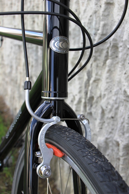The Monkey Lab: Rohloff-Equipped, Belt Driven Co-Motion Americano ...