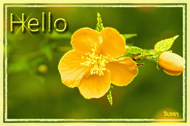 Animaciones y Gif: Hola - Hello