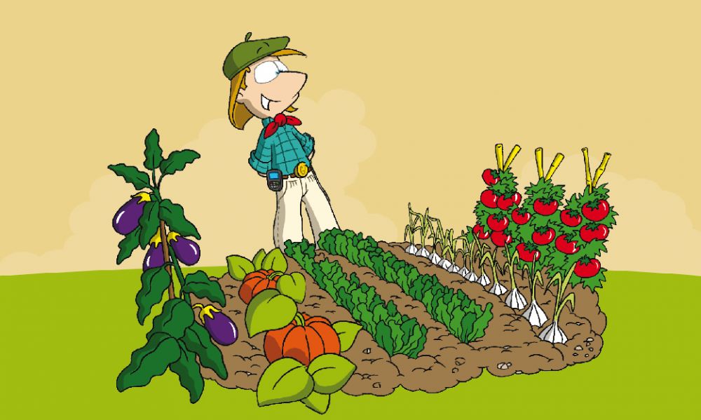 miscursos3: Unidad de Producción Agropecuaria UPA: Emprendimiento