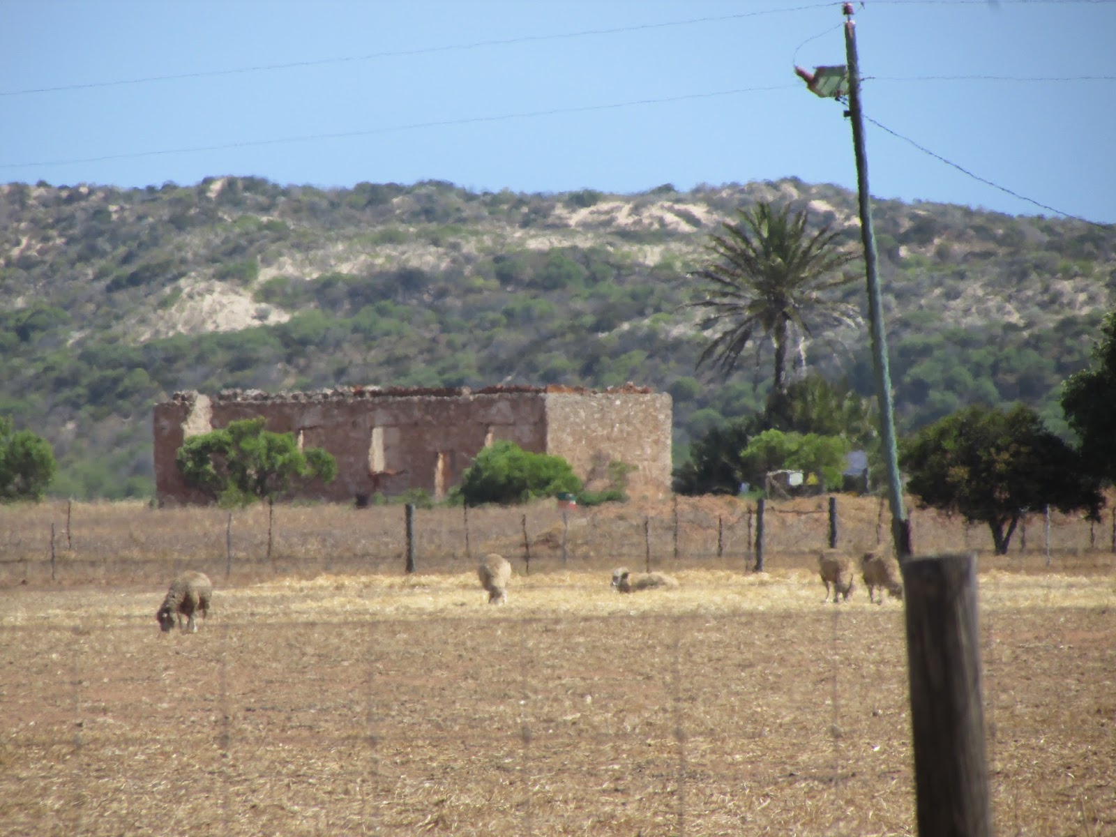 Finding Thomas Dames: Finding Thomas Dames