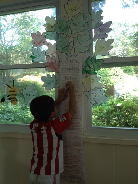 Mommy Maestra: Spanish Word Wall and First Book Tips