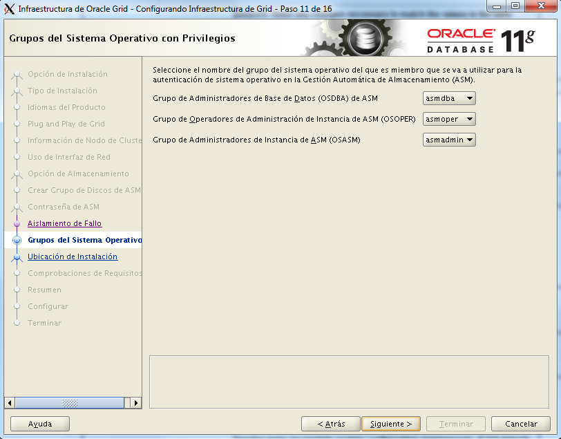 Ayuda para tus sistemas: Instalación Oracle RAC 11g + ASM