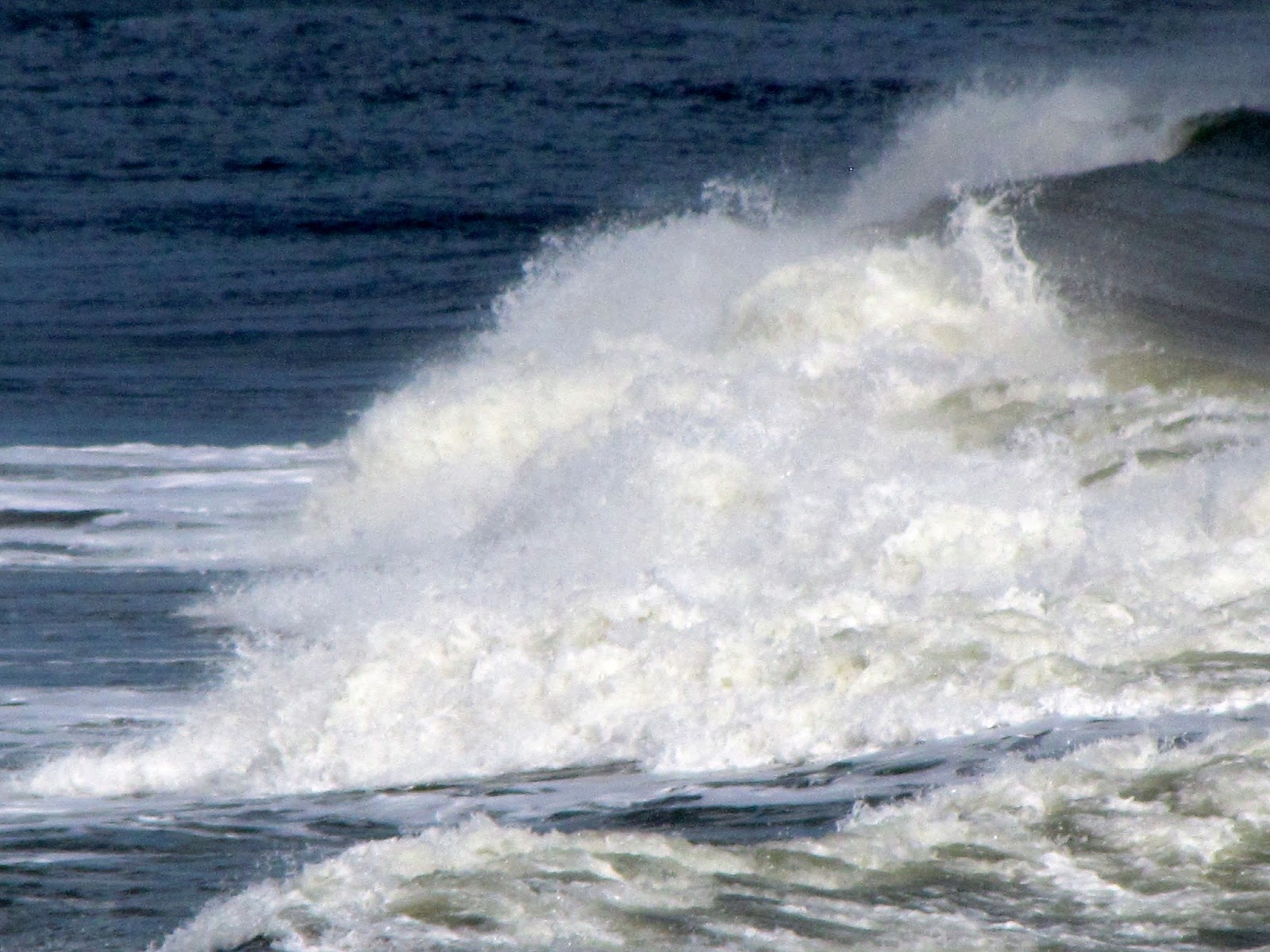 Banjo52: Rainer Maria Rilke, "Archaic Torso of Apollo," trans. Stephen ...