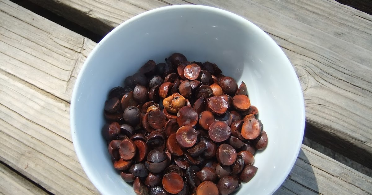 Naturalist4U: Adapt2Now: Roasted Bay Nuts