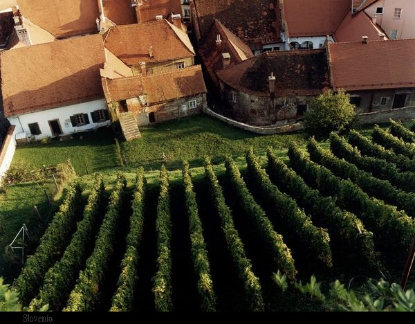 Renée Finberg ' TELLS ALL ' in her blog of her Adventures in Design: To ...