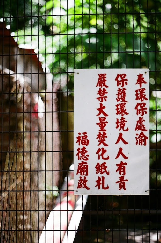 【M42平鏡繼續磨】佐敦谷公園 Mamiya SX 55/1.8 - 攝影台 - 香港高登討論區