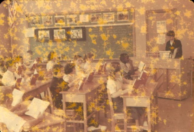 12 Incredible Color Photos That Capture Activities From an Elementary ...