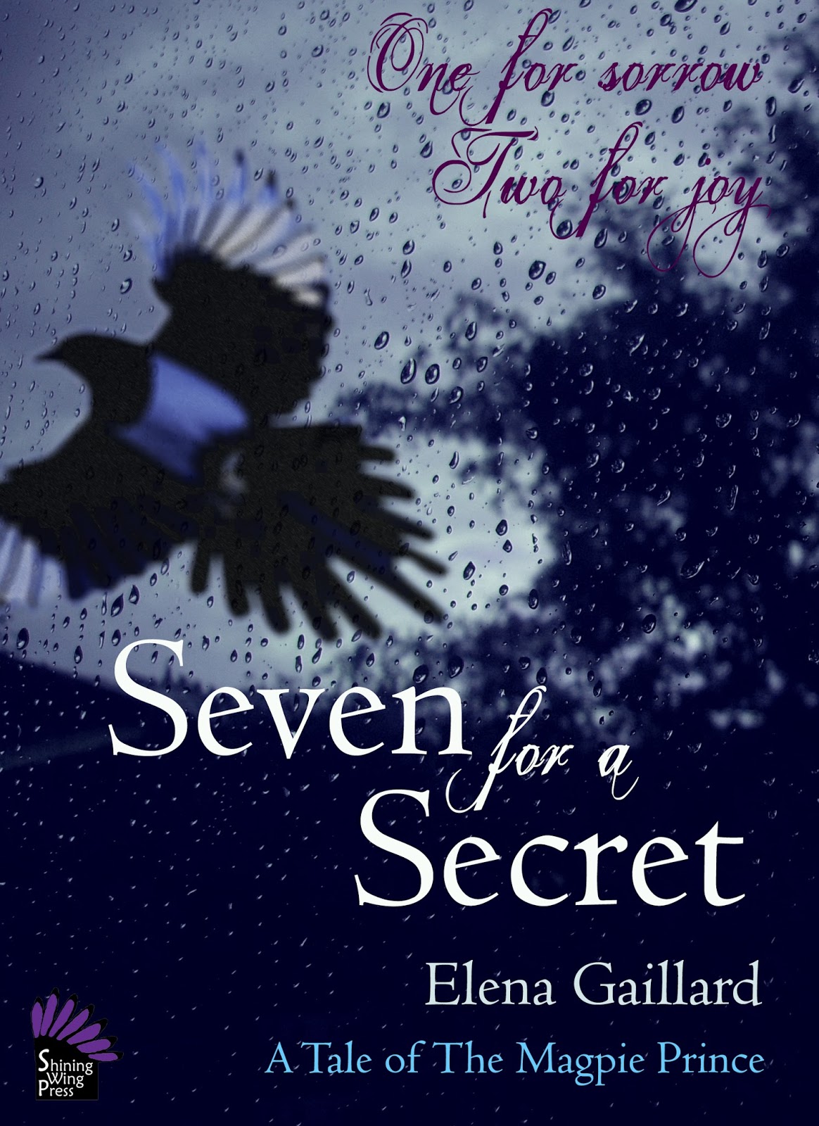 Too Much Information: I'm About to Commit Novel: SEVEN for a SECRET