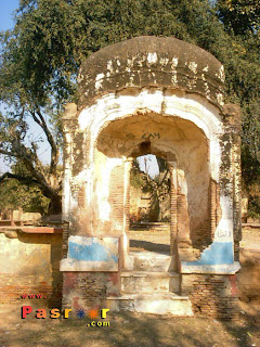 SULEHRI`S SECRETARIAT: PASRUR