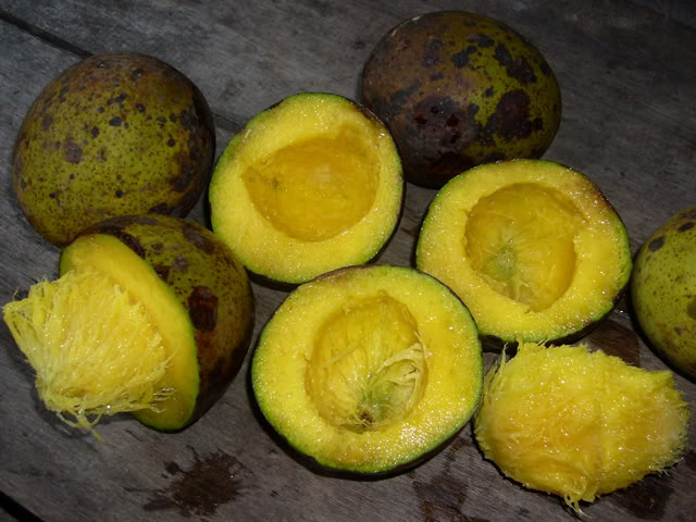 LAMAN WEB RASMI JKR MACHANG: ASAL USUL BANDAR MACHANG