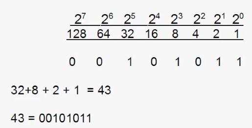 IP Address, Subnet Mask and Binary Numbers (CISCO) | TipTopNetworking - ttN