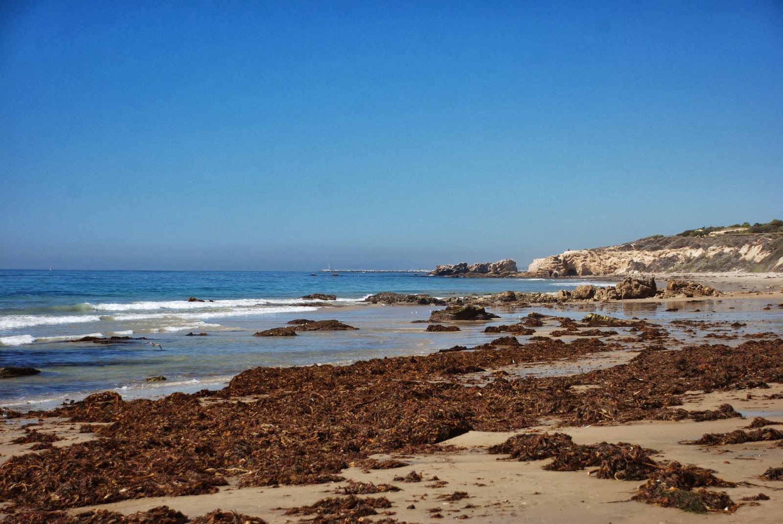 Life as a Mother...of Many: Exploring Tide Pools