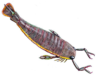 viventibus esse: Čo nám oči hovoria o stravovacích návykoch "vodných ...