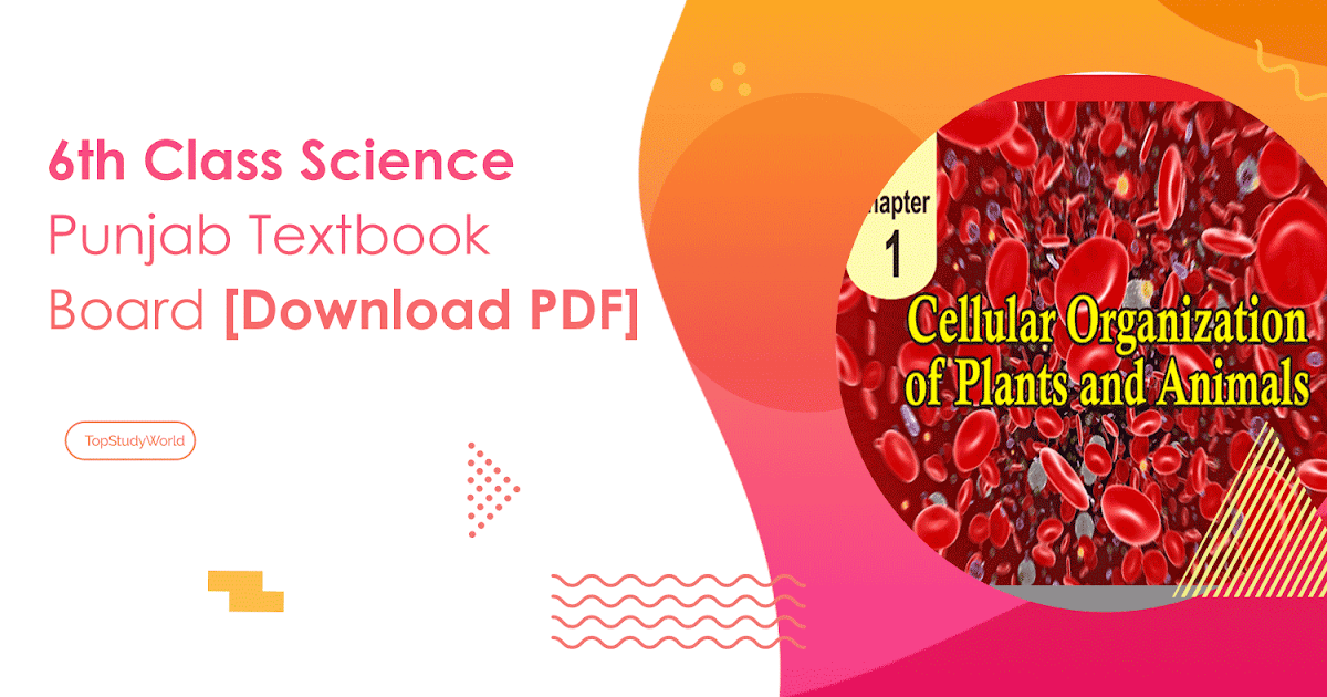 6th Class Science Punjab Textbook Board Download PDF Top Study World 6th Class Science Punjab Textbook Board Download PDF Top Study World