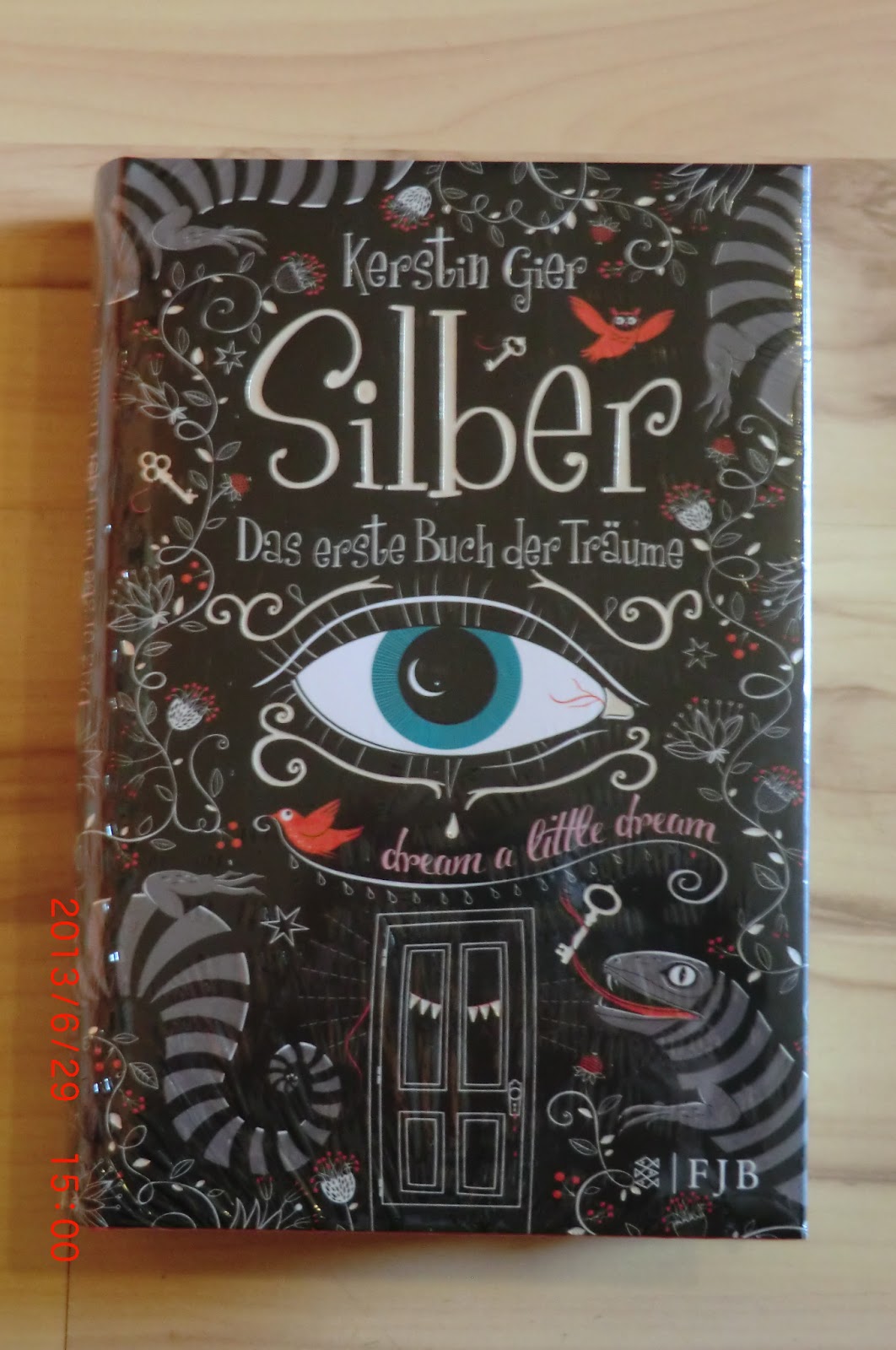 Lesezauber: Rezension: Silber: Das erste Buch der Träume - Kerstin Gier