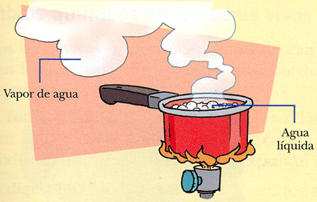 TODO SOBRE LA MATERIA