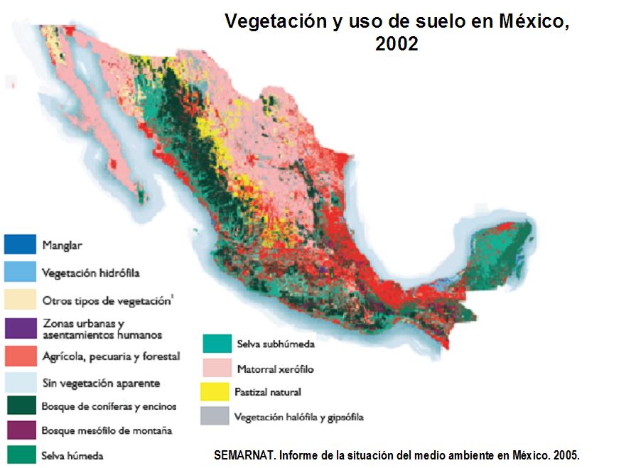 RIQUEZA NATURAL Y CULTURAL: RIQUEZA NATURAL Y CULTURAL DE MÉXICO