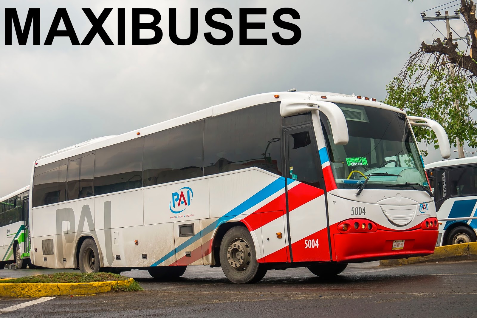 MAXIBUSES: AUTOBUSES DE PRIMERA CLASE, PACHUCA, ACTOPAN, IXMIQUILPAN - PAI