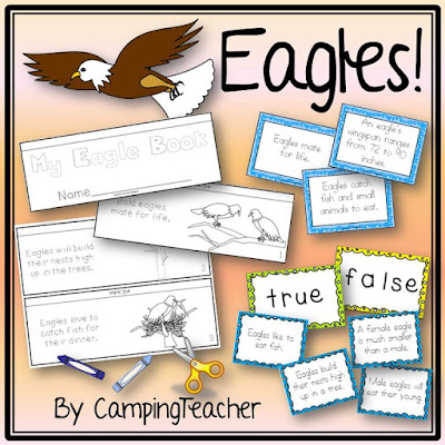 CampingTeacher: Eagle Cams!