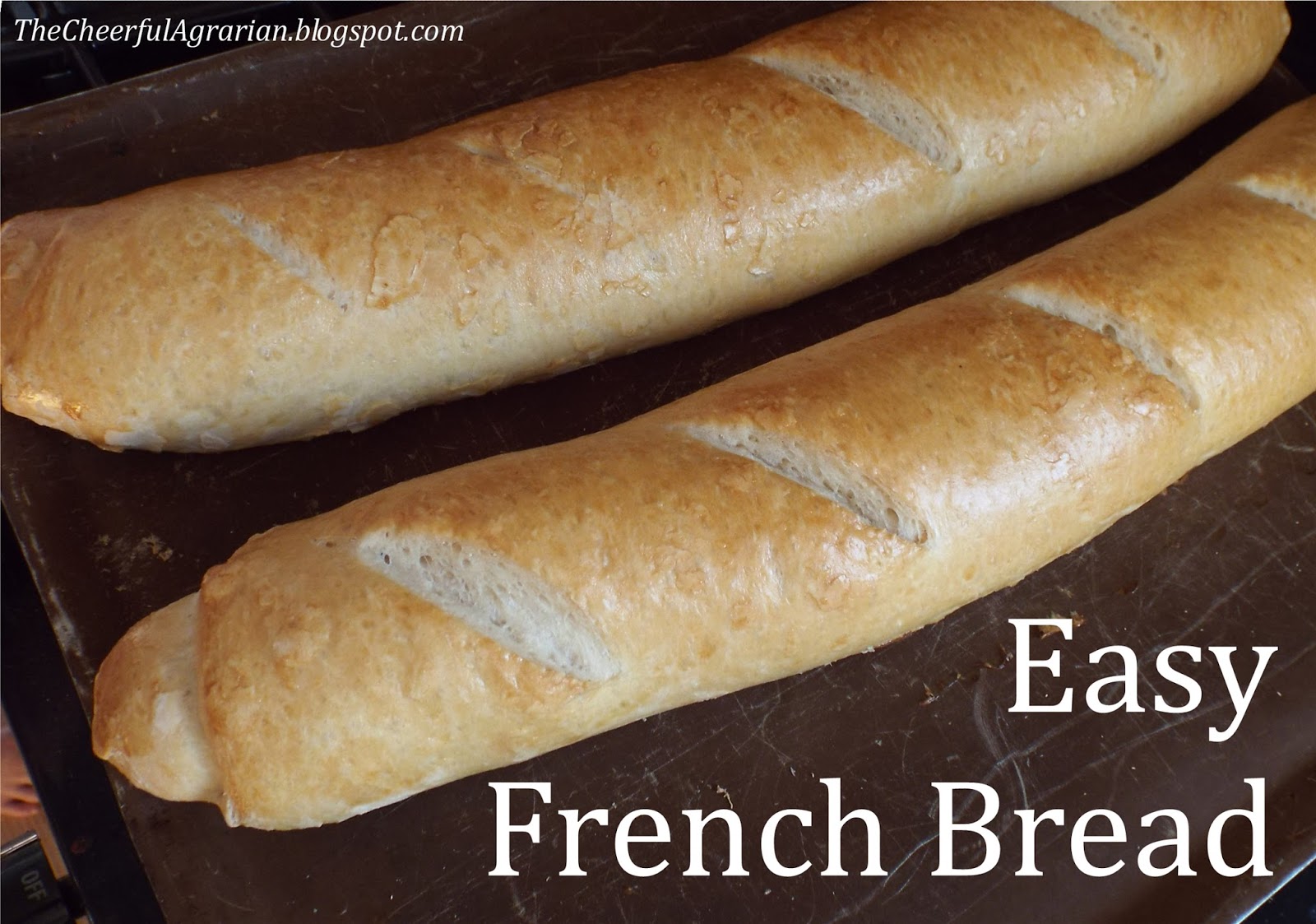 The Cheerful Agrarian: Easy French Bread