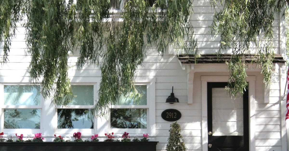 ciao! newport beach: sunday drive