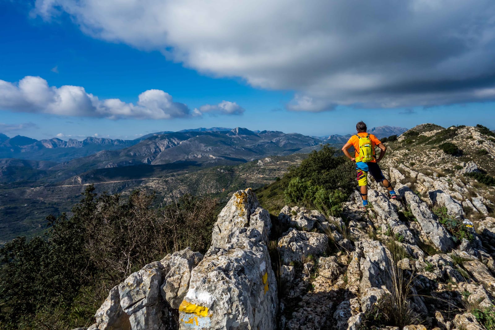 PARCENT. COLL DE RATES