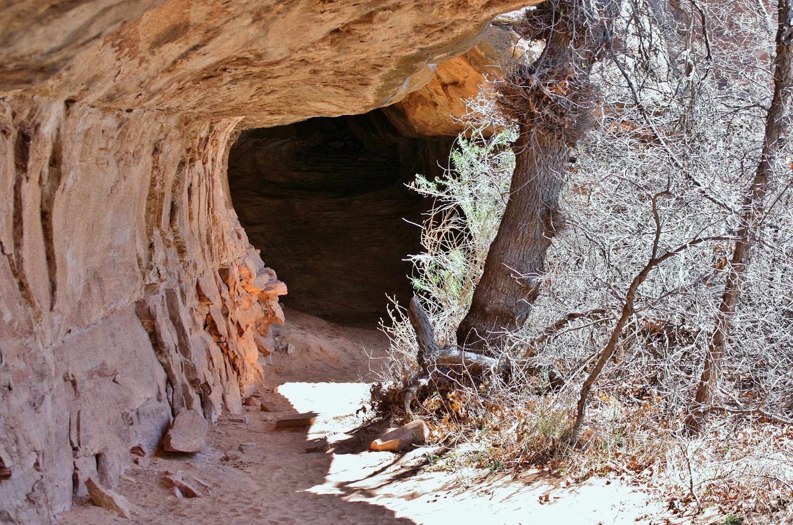 The Southwest Through Wide Brown Eyes: Canyonlands, the Needles ...
