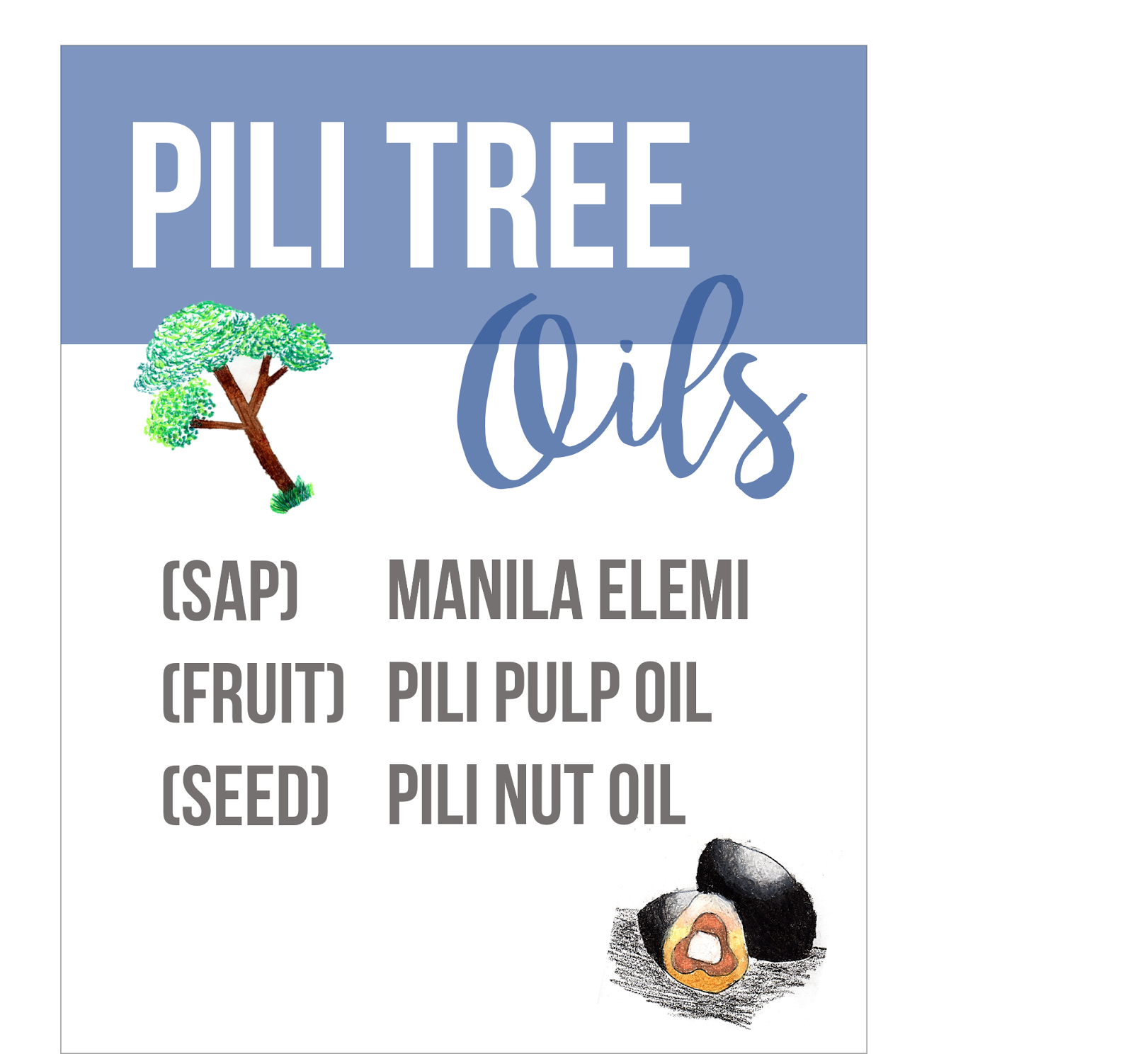 The Pili Nut: Pili Oil