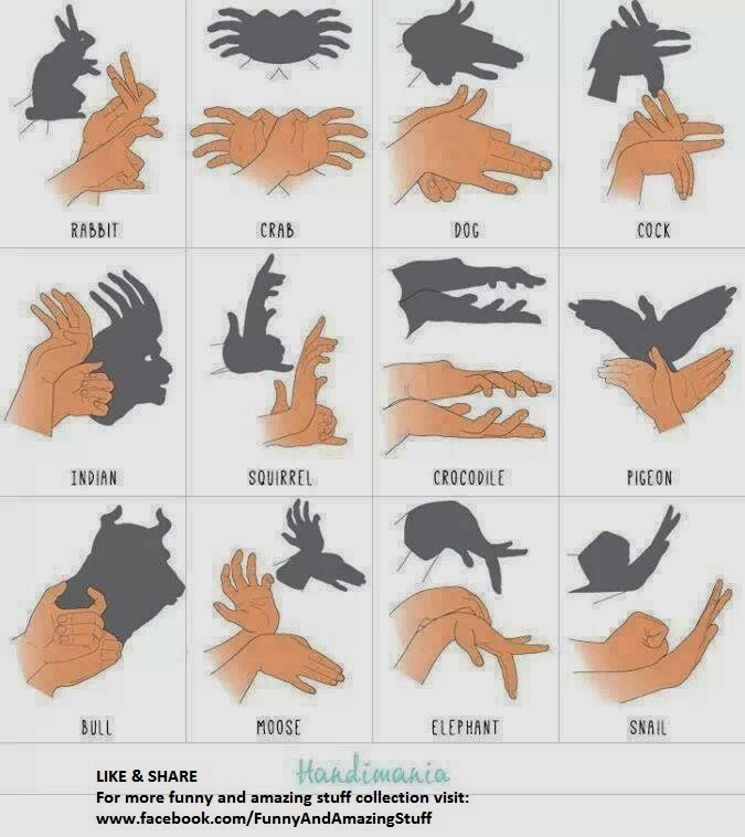 Best Funny and Amazing Pictures: Amazing Hand shades