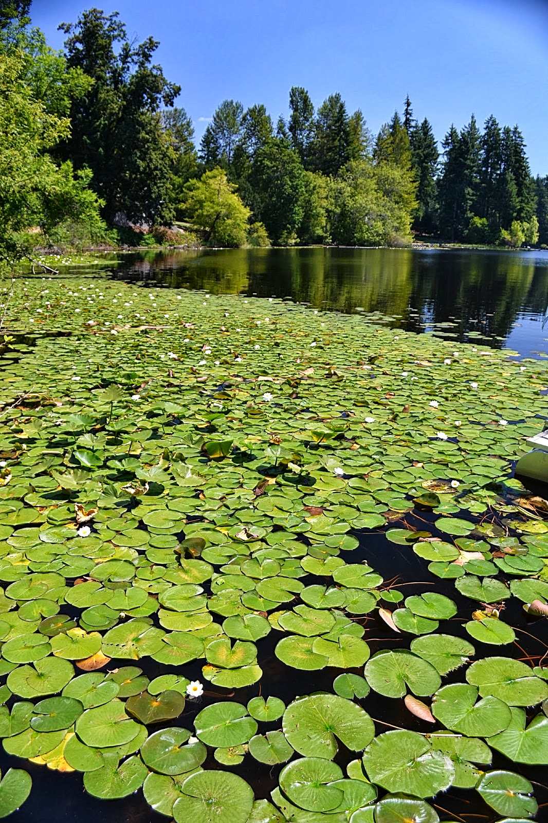 The Outlaw Gardener: The Garden of Paula & Duane Rutan