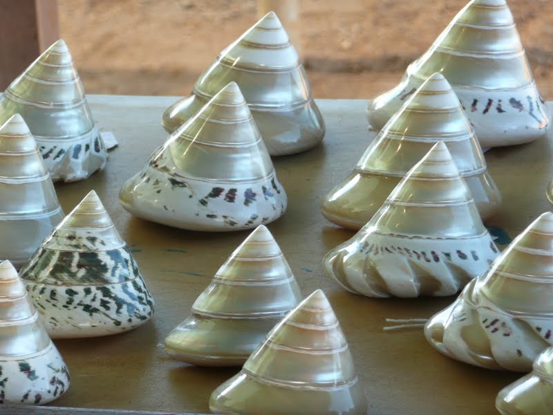 Nele & Andrew Around Oz: Cable Beach Caravan Park, Broome, WA